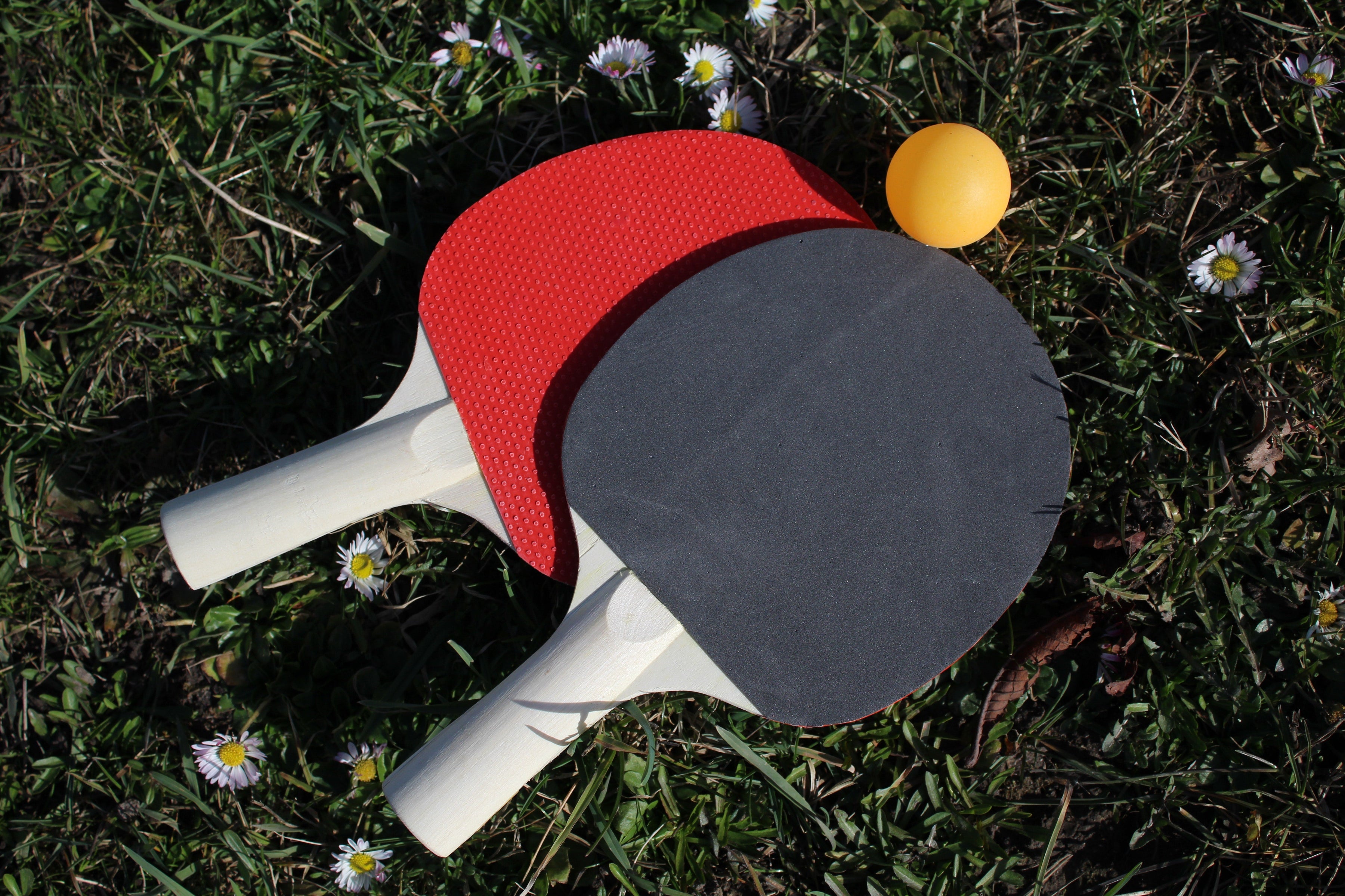 Ultimate Guide to 2024's Most Luxurious PingPong Tables — Game Room Shop